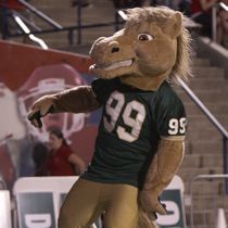 1000+ images about College Mascots: Big West on Pinterest | Uc santa ...